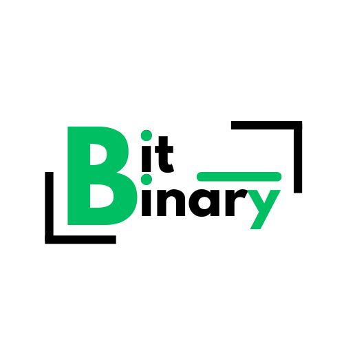 Bit Binary Marketing Consulting - BitBinary